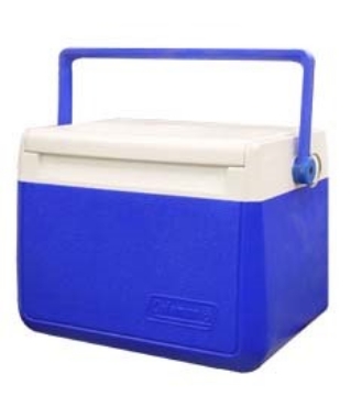 »Micro Hielera Thermo Medic