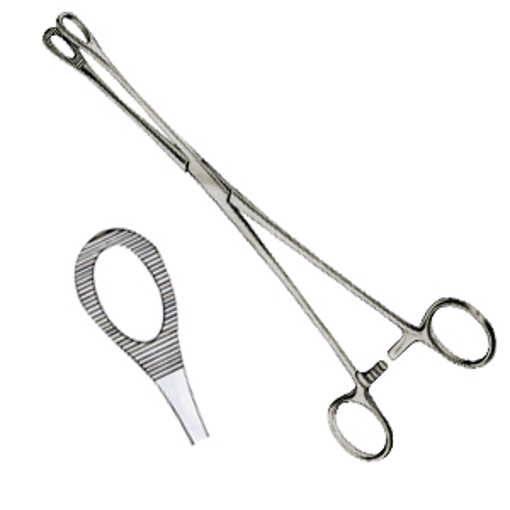 PINZA FORESTER-BALLENGER PARA ESPONJAS 25 CM CURVA